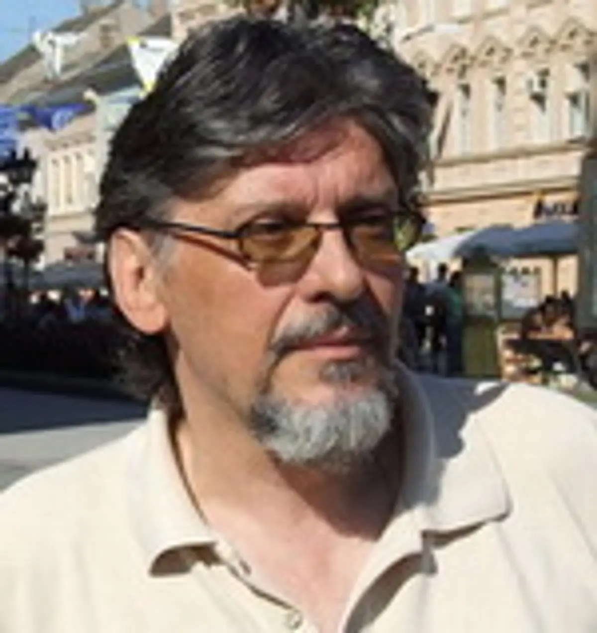 Laguna - Milan Vidojević - Knjige o kojima se priča